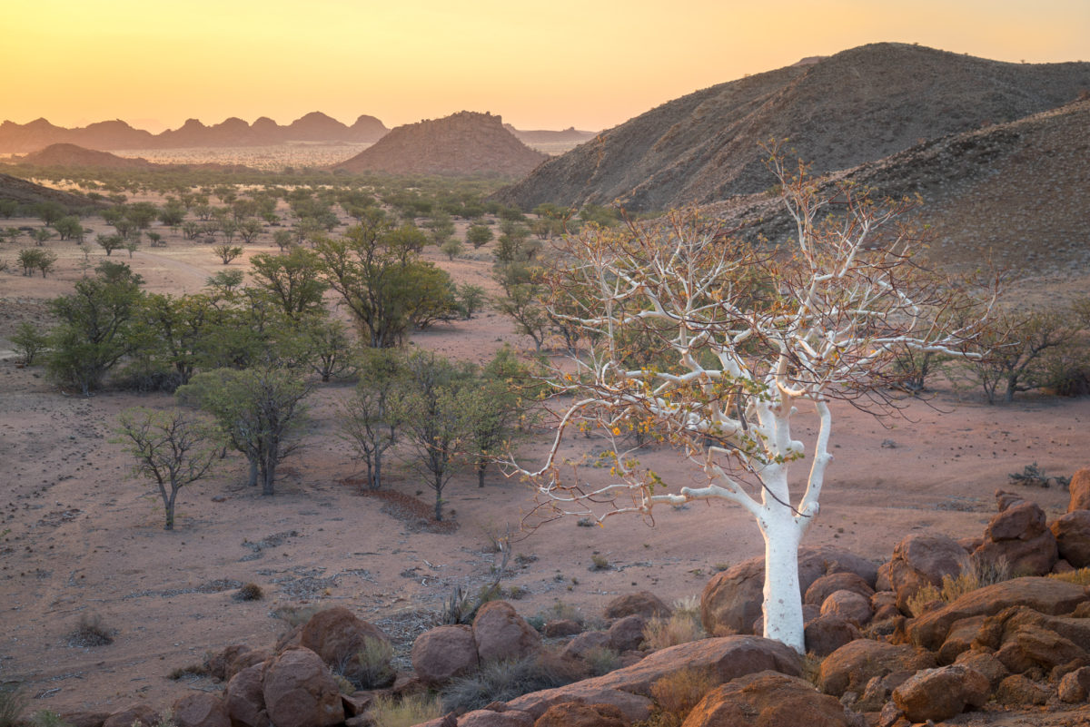 Namibia Photography Workshop | On Landscape