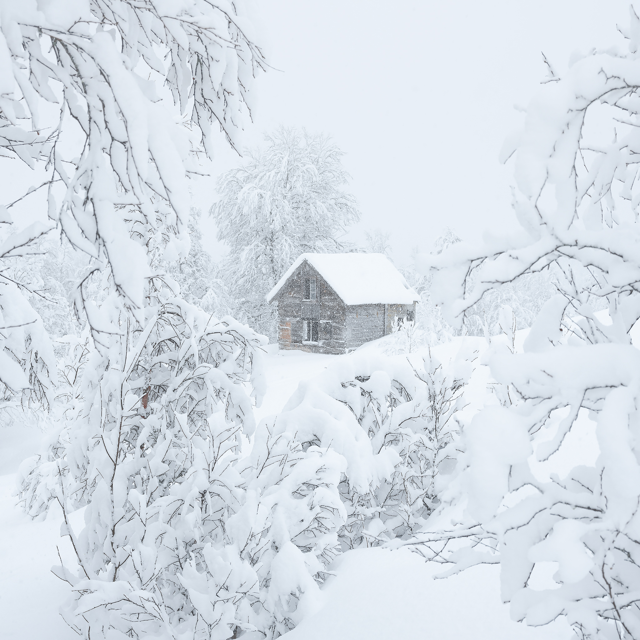 Heime | On Landscape