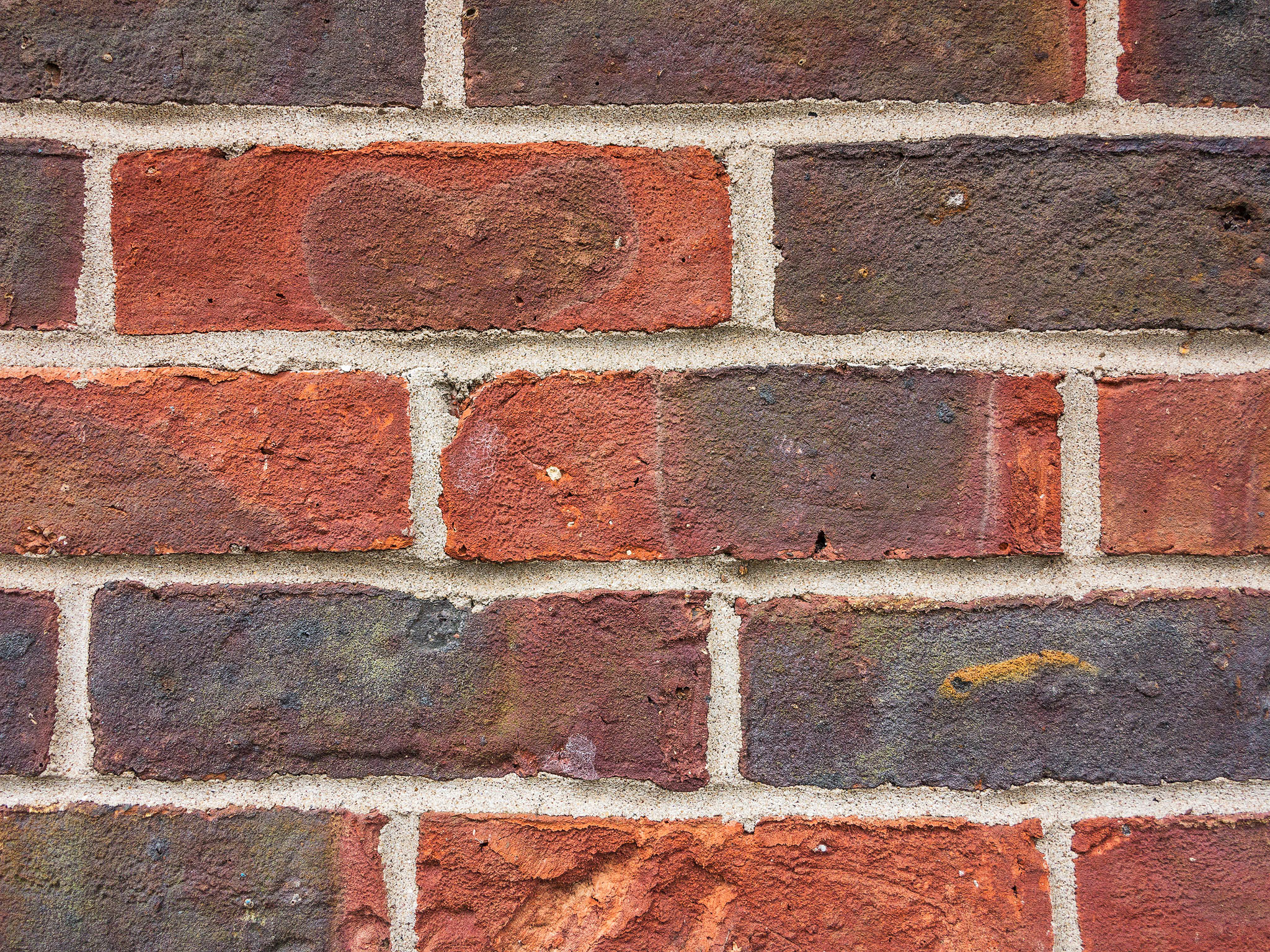 Newport Wall Heart (hop) Copy | On Landscape