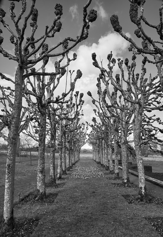 Your favourite images | On Landscape