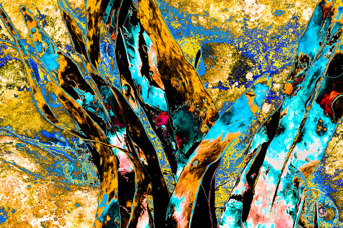 Your favourite images | On Landscape