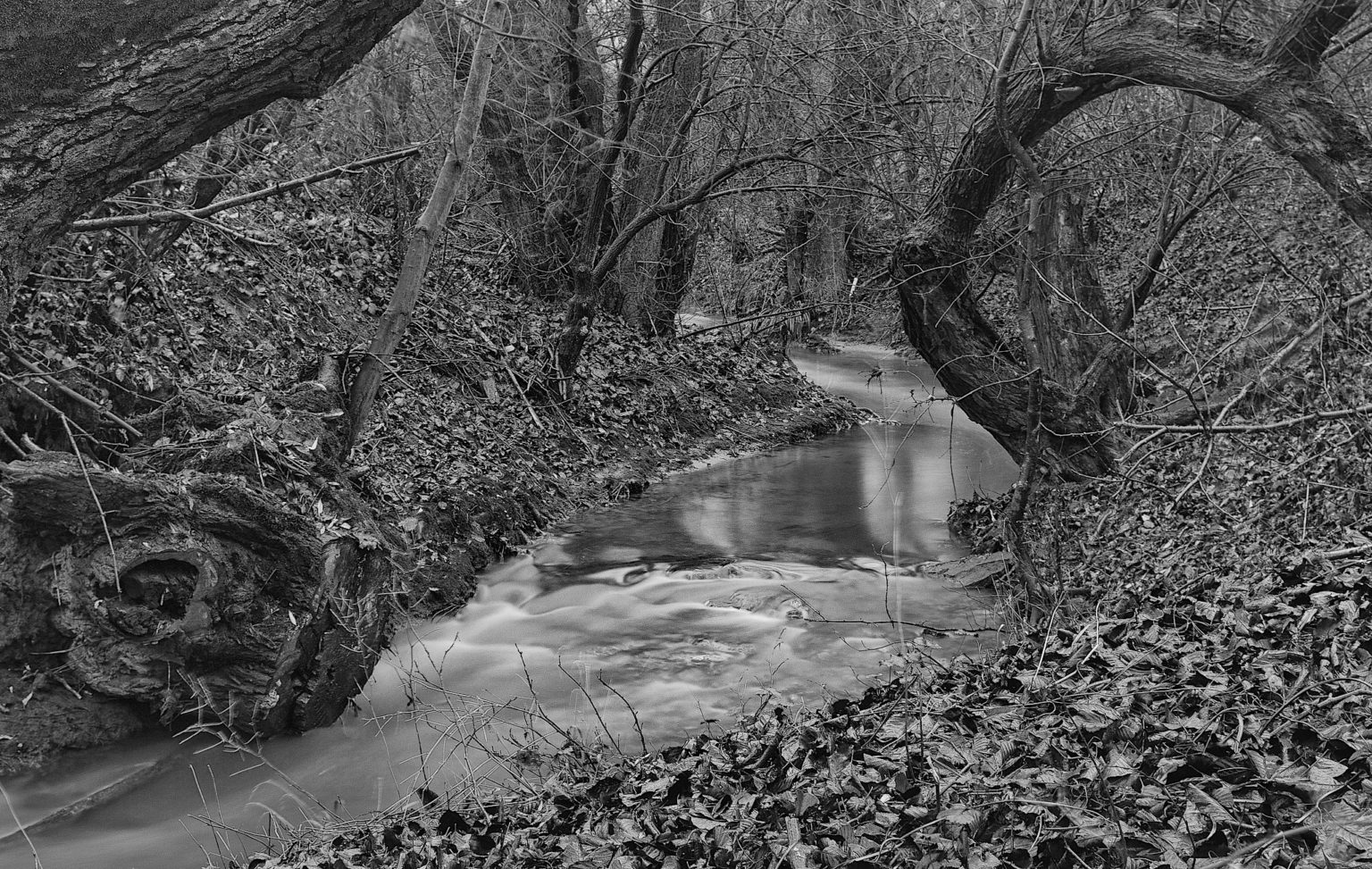 Wood, stream and pool | On Landscape