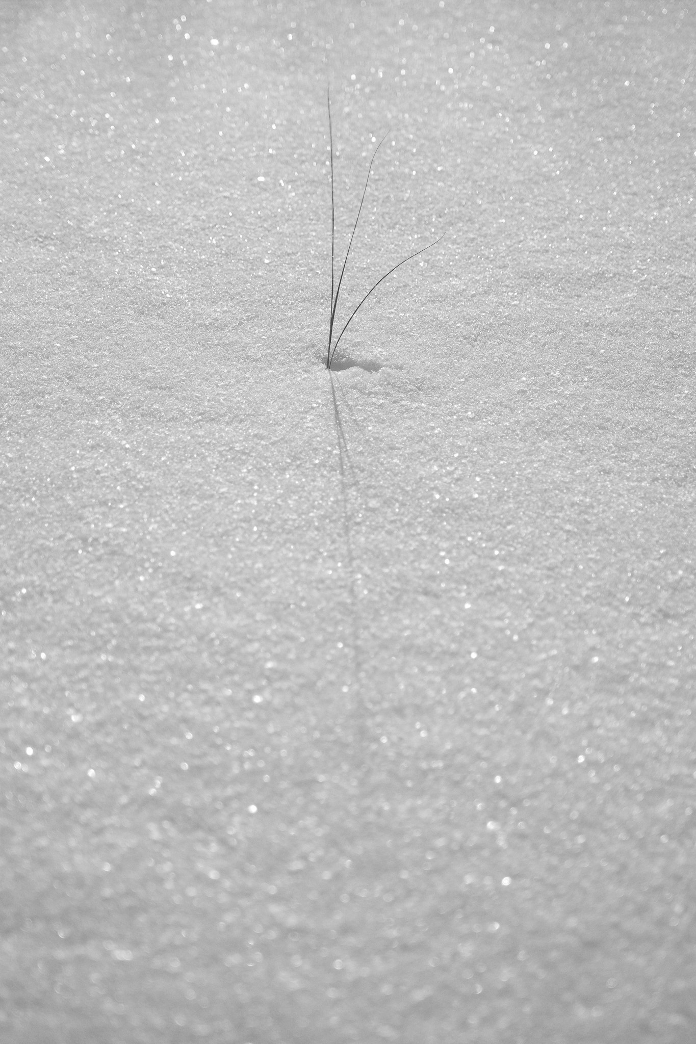 image-2-blinter | On Landscape