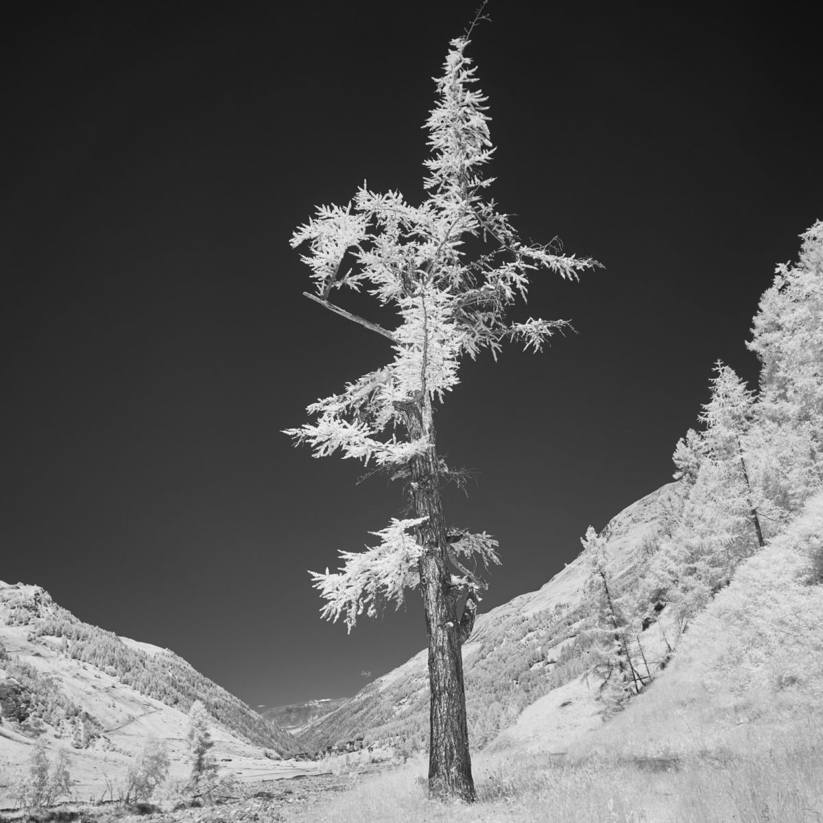 Landscape Photography Magazine | On Landscape