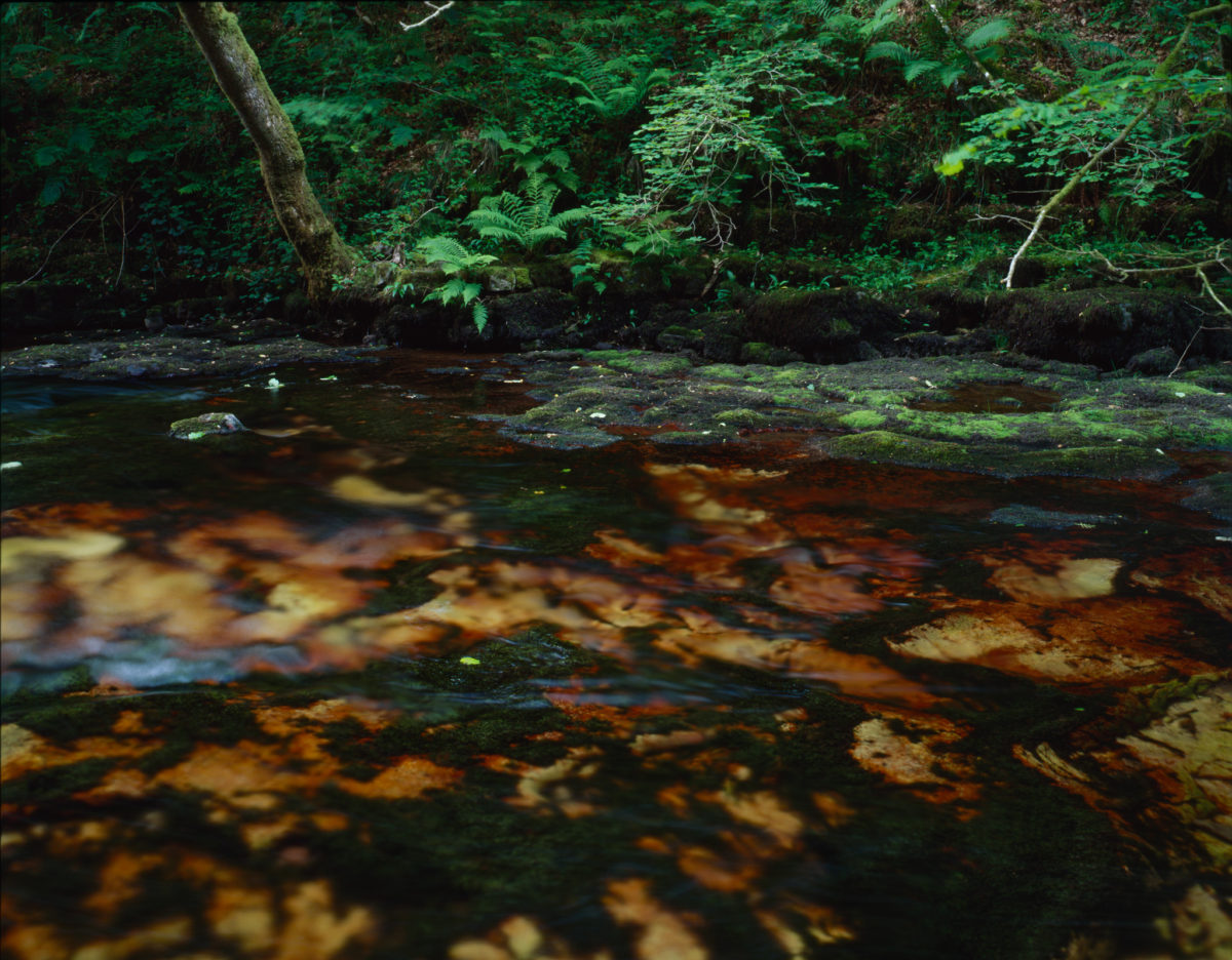 The Bleeding Riverbed | On Landscape