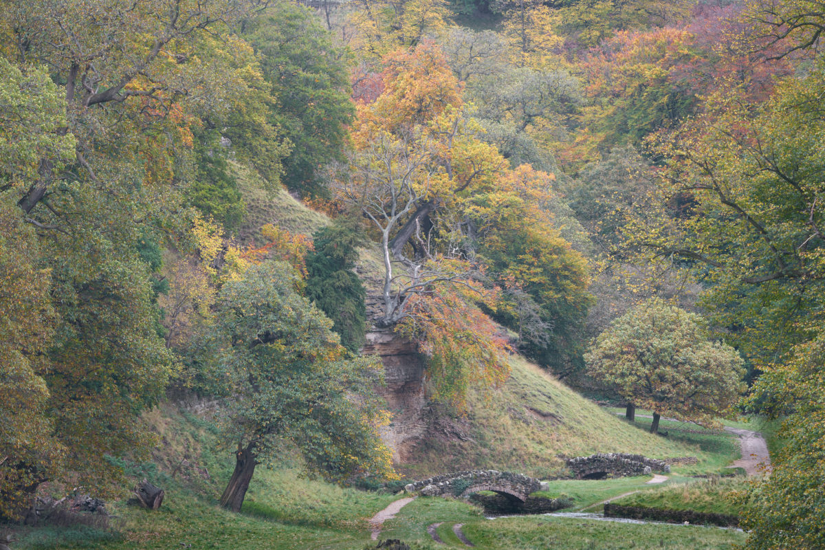 Time To Wonder by Joe Cornish | On Landscape