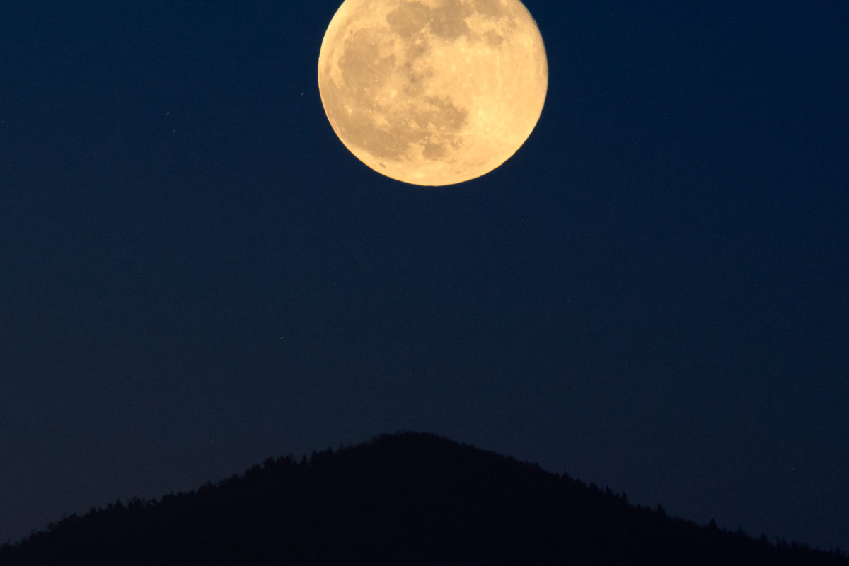 Moon Connection | On Landscape