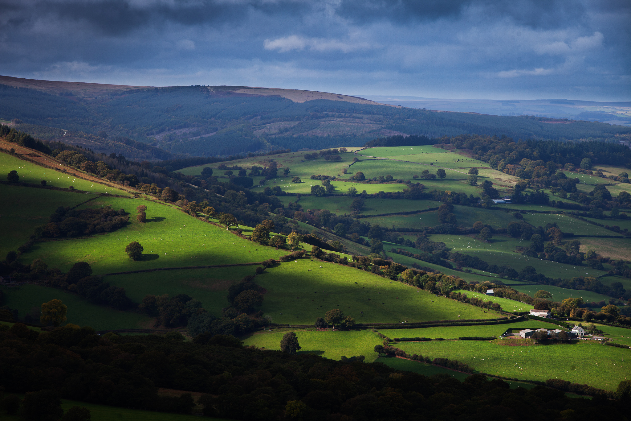 LJP Fellowship 2 | On Landscape