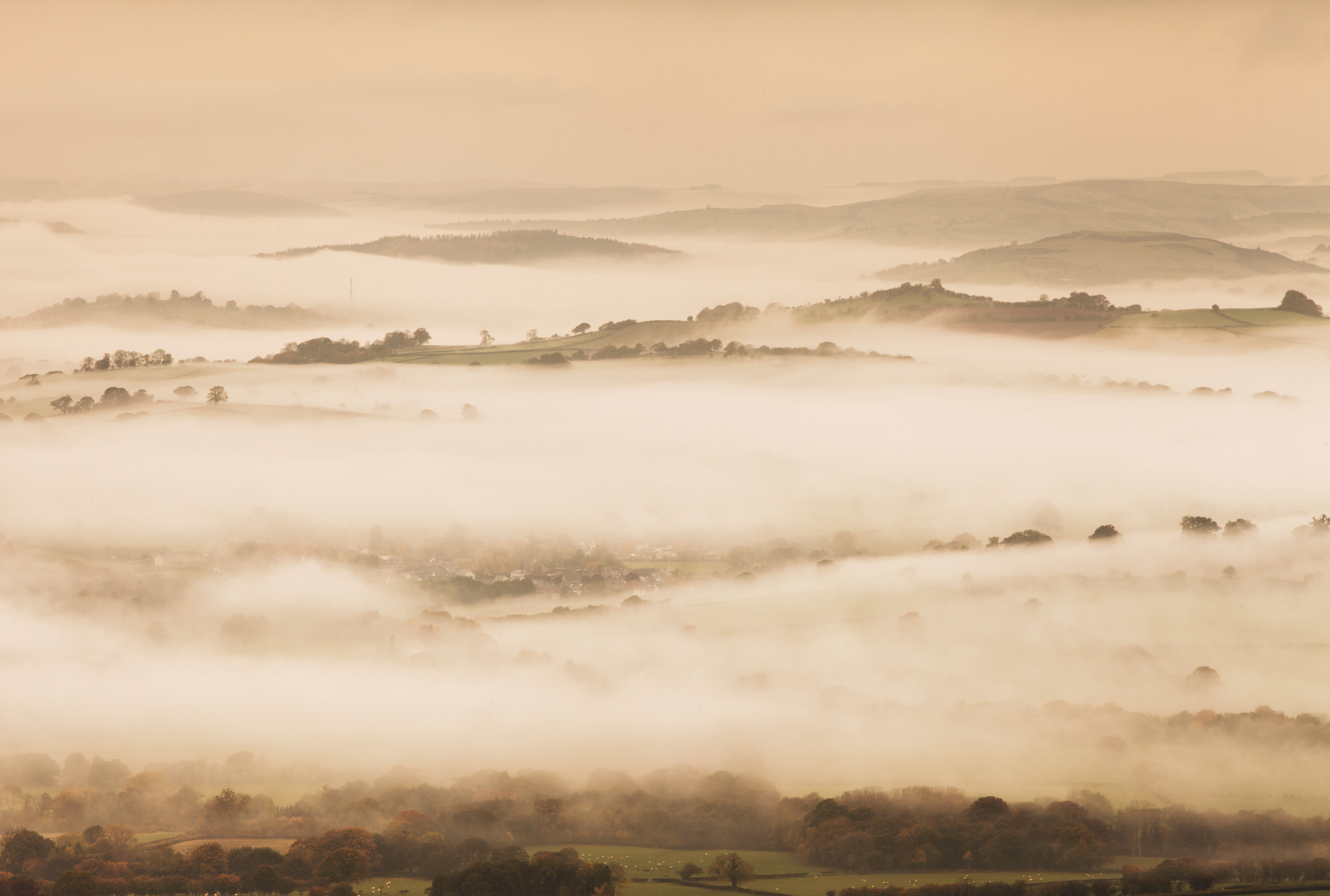 LJP Fellowship 3 | On Landscape