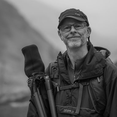 Steven Ball | On Landscape