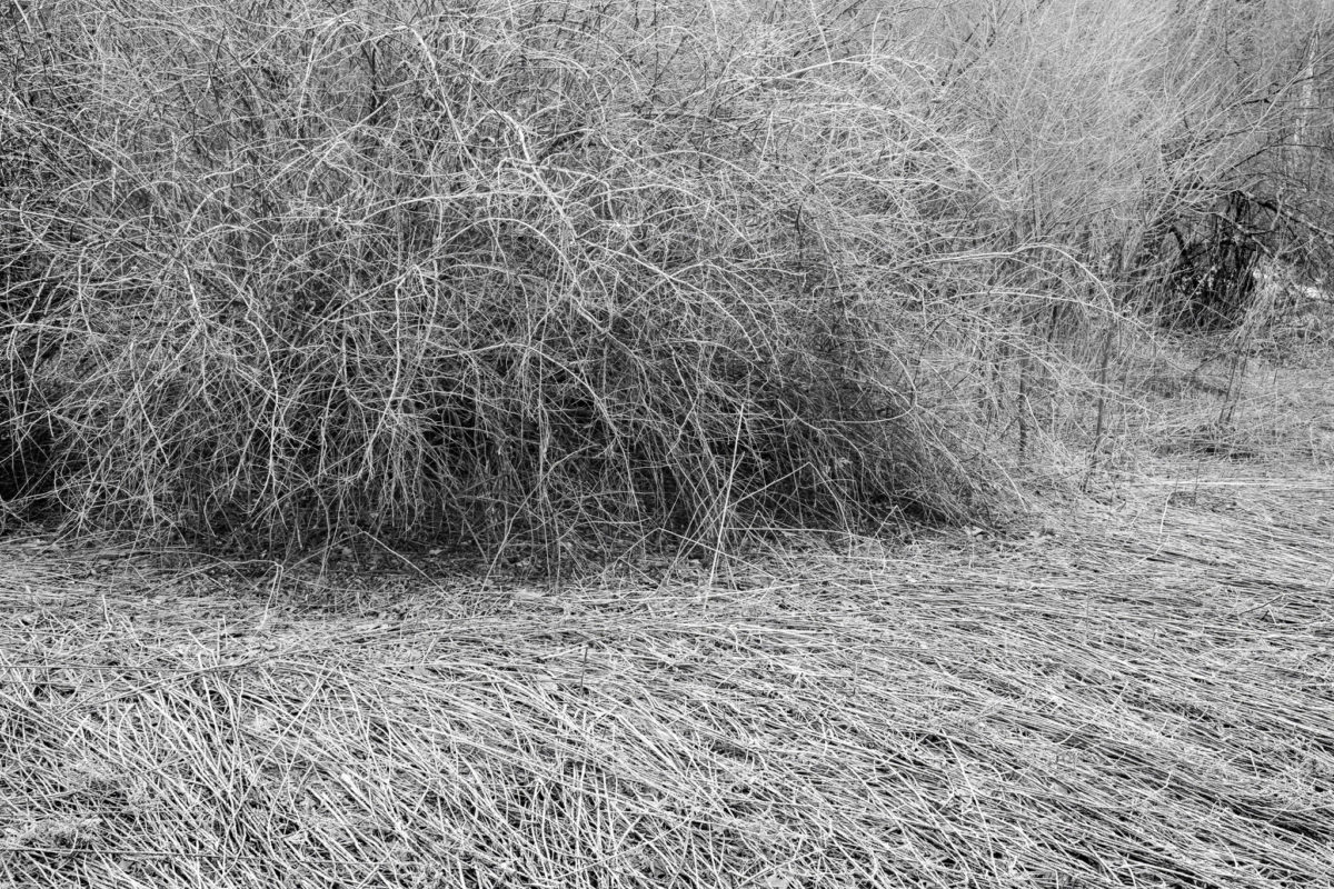 Kettle Moraine | James Popp | On Landscape