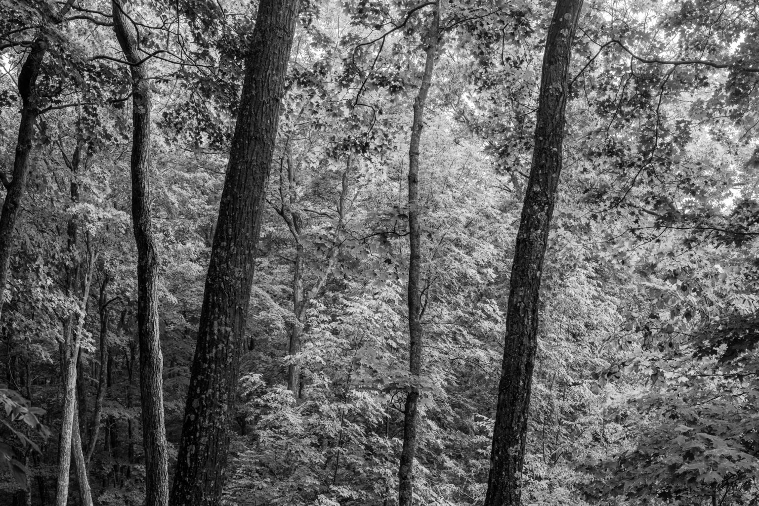 Kettle Moraine | James Popp | On Landscape