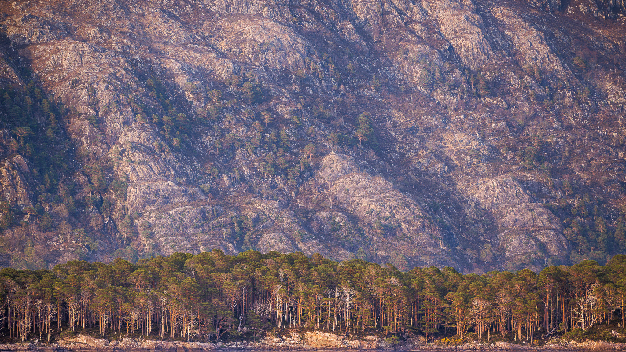 Brian Pollock - OL Article - 2023 (20 of 20) | On Landscape