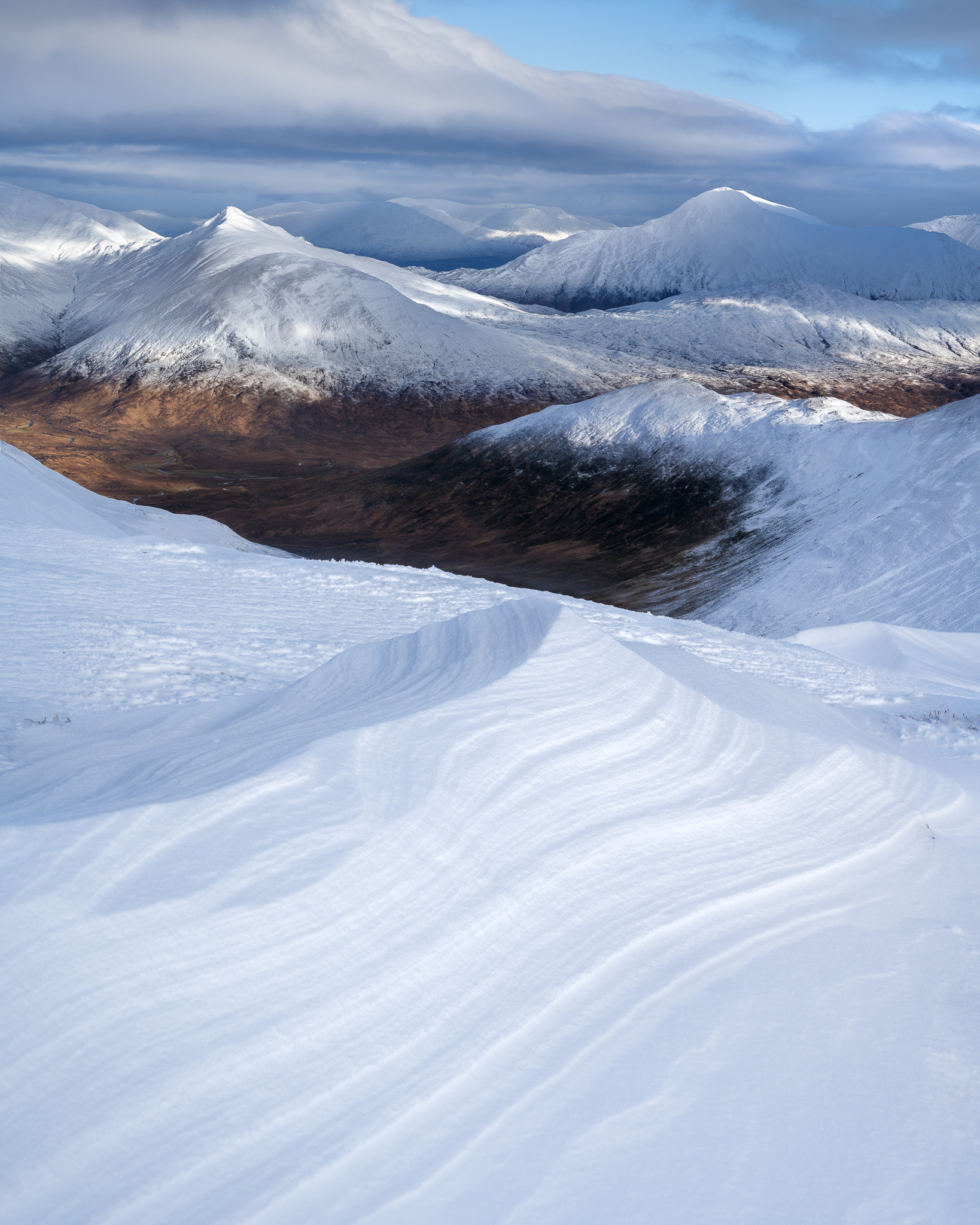 Brian Pollock - OL Article - 2023 (3 of 20) | On Landscape