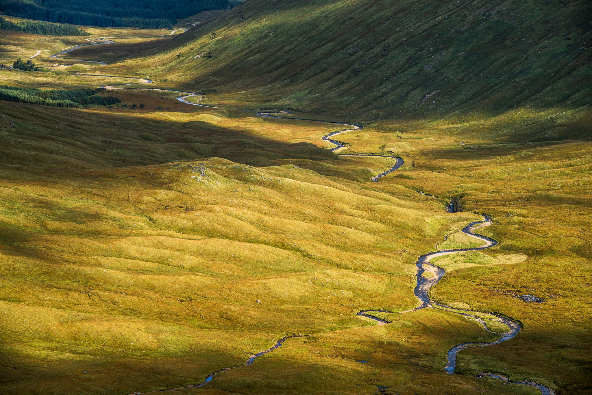 Brian Pollock - OL Article - 2023 (8 of 20) | On Landscape