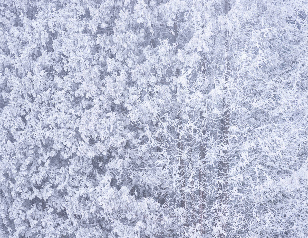 Subtle Differences | On Landscape