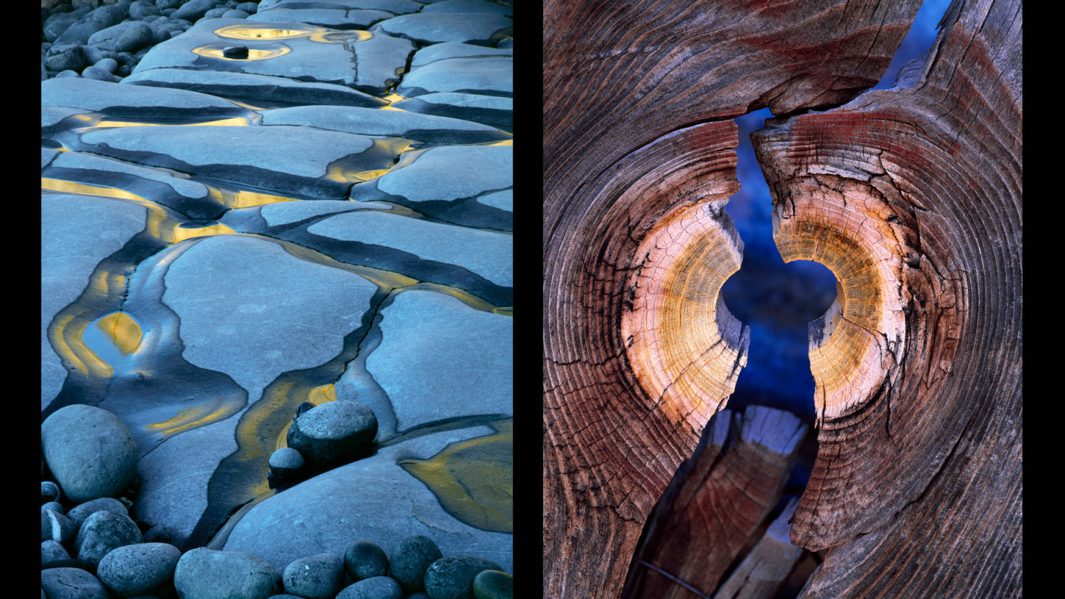 Creative Parallels Exhibition Talk | On Landscape