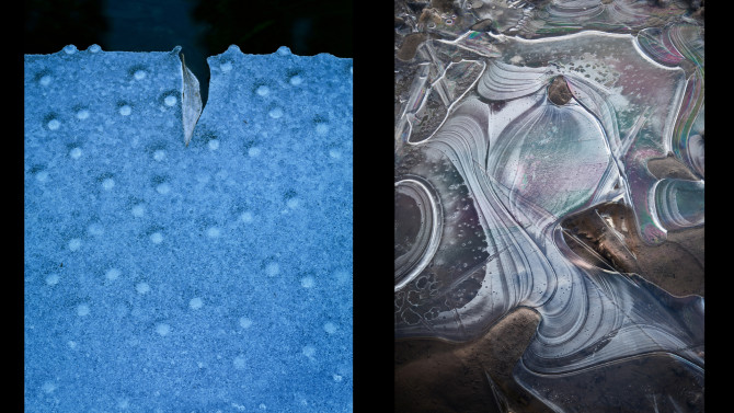 Creative Parallels Exhibition Talk | On Landscape