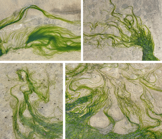 Robert Hecht 4x4 | On Landscape