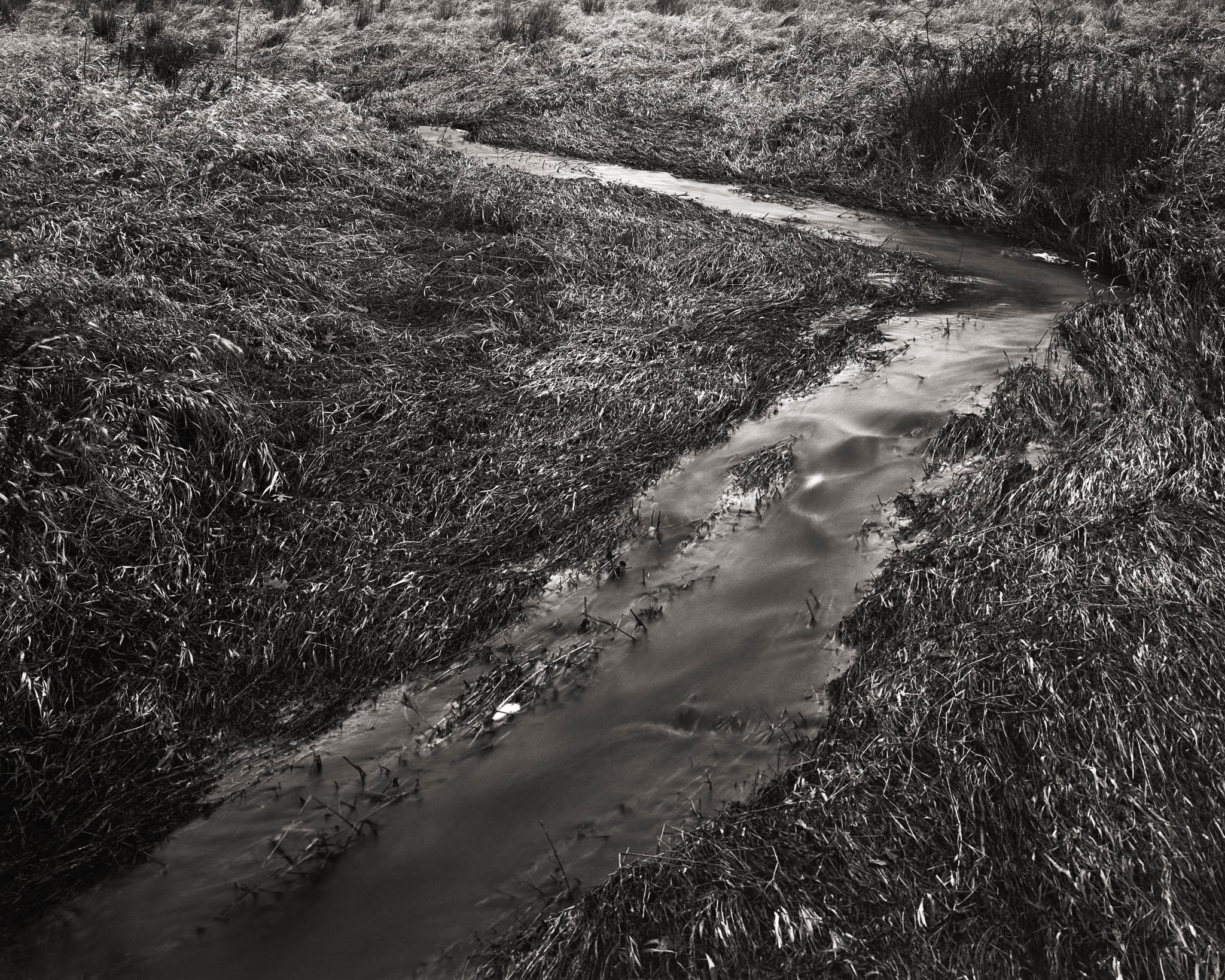 Cody Schultz - Flooded Field, Dec 2023 | On Landscape