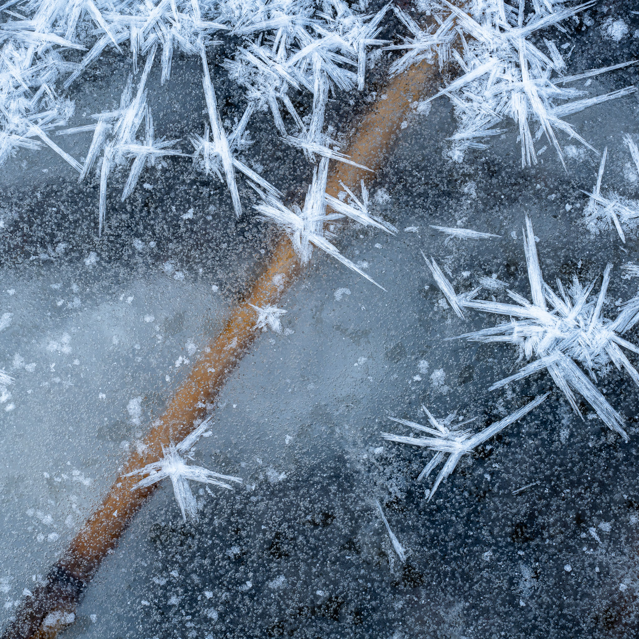 Frozen Magic Wand | On Landscape