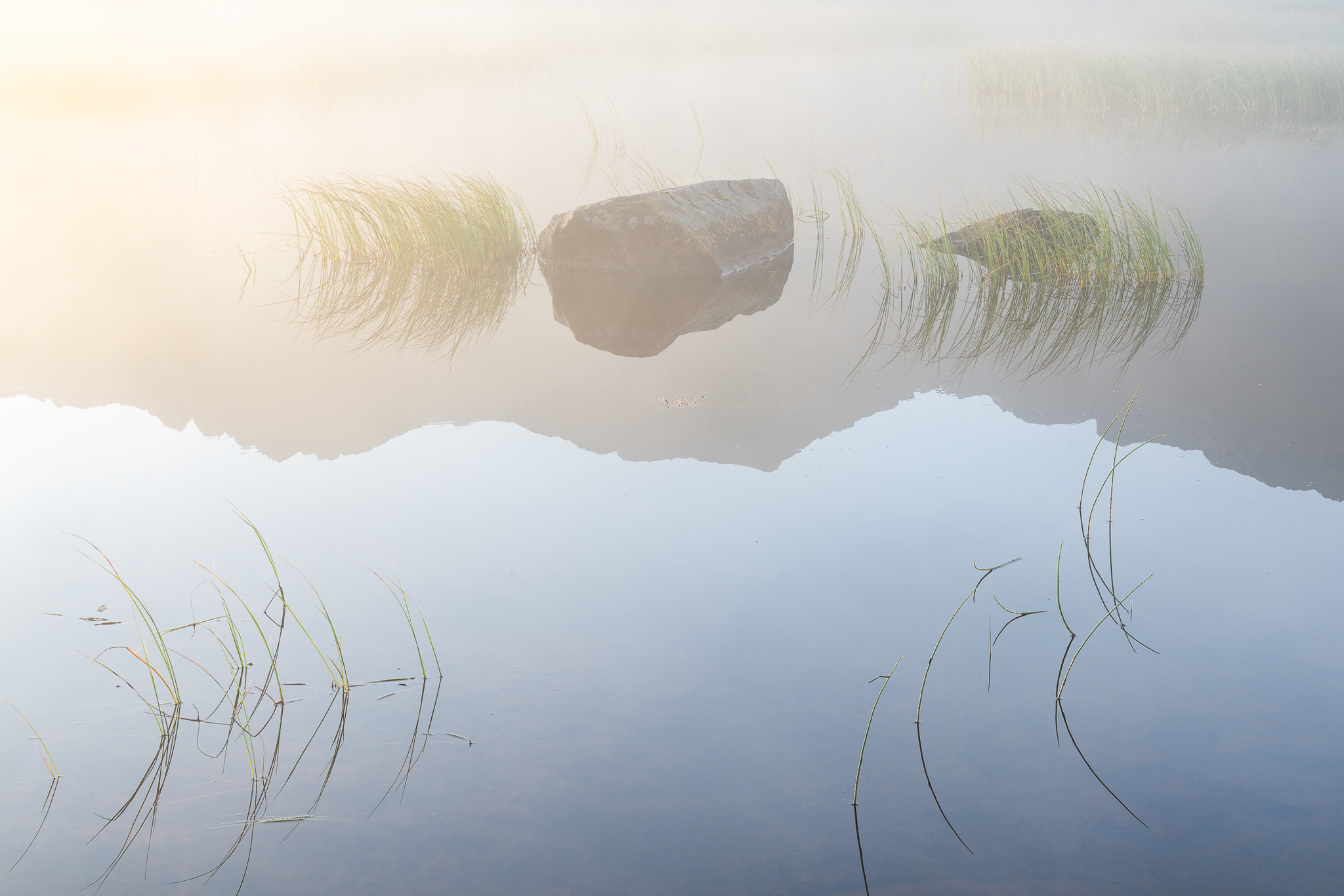 15-BF_A_New_Day | On Landscape