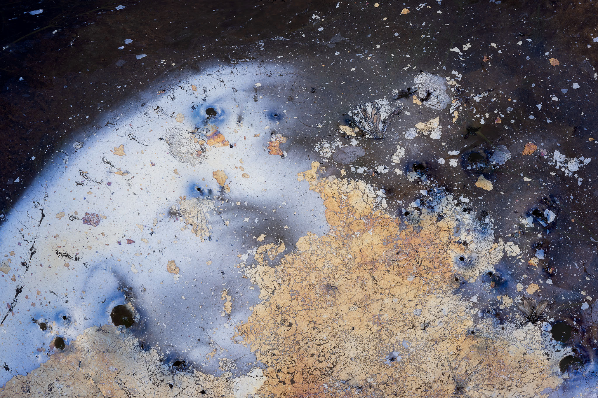 Earth Falling OL | On Landscape