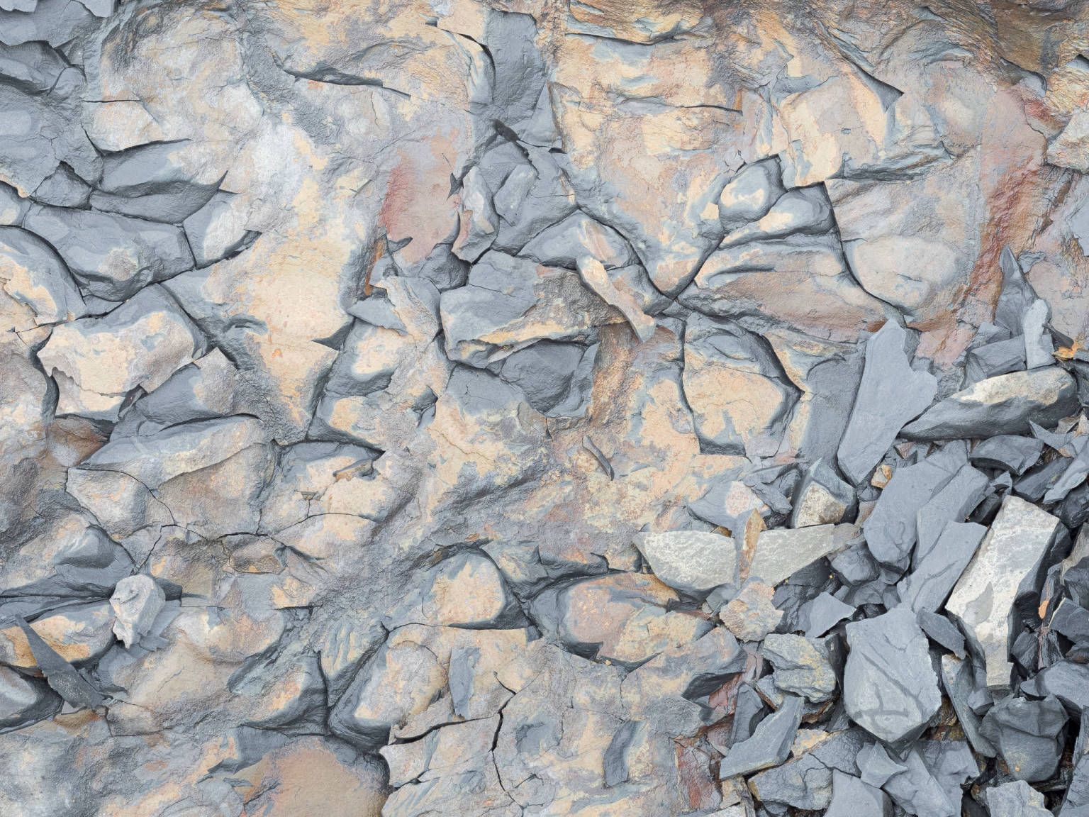 Robin Boothby | The Thing Itself | On Landscape