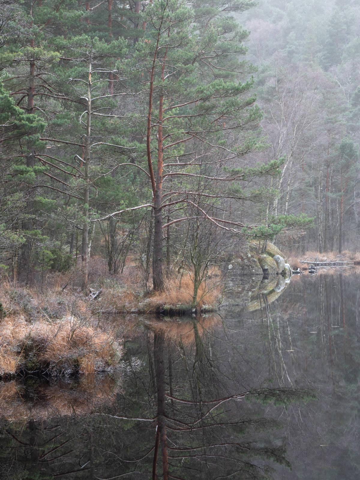 Daniel Eek | Love of a mountain | On Landscape