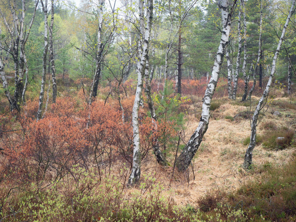 Daniel Eek | Love of a mountain | On Landscape