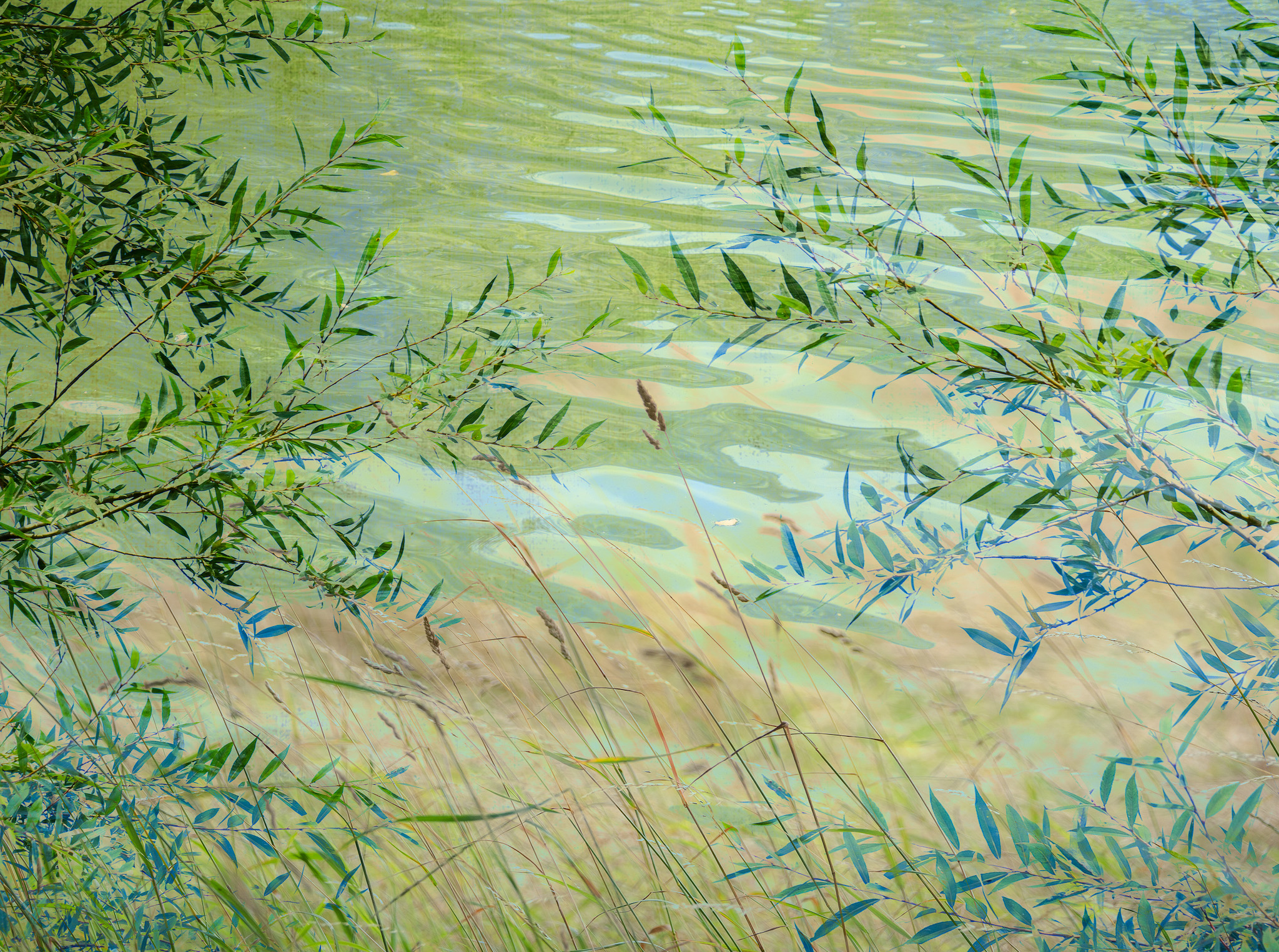 20230908-20230908-DSC09936-Edit copy-2 copy | On Landscape