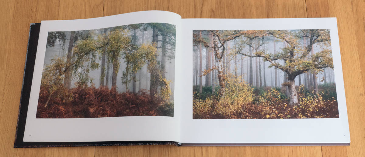 Woodwork by Finn Hopson | On Landscape