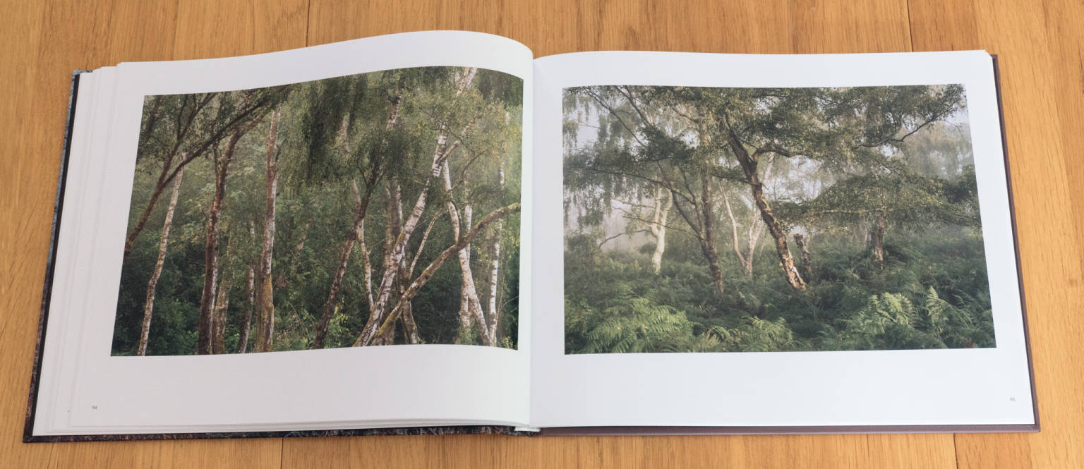 Woodwork by Finn Hopson | On Landscape