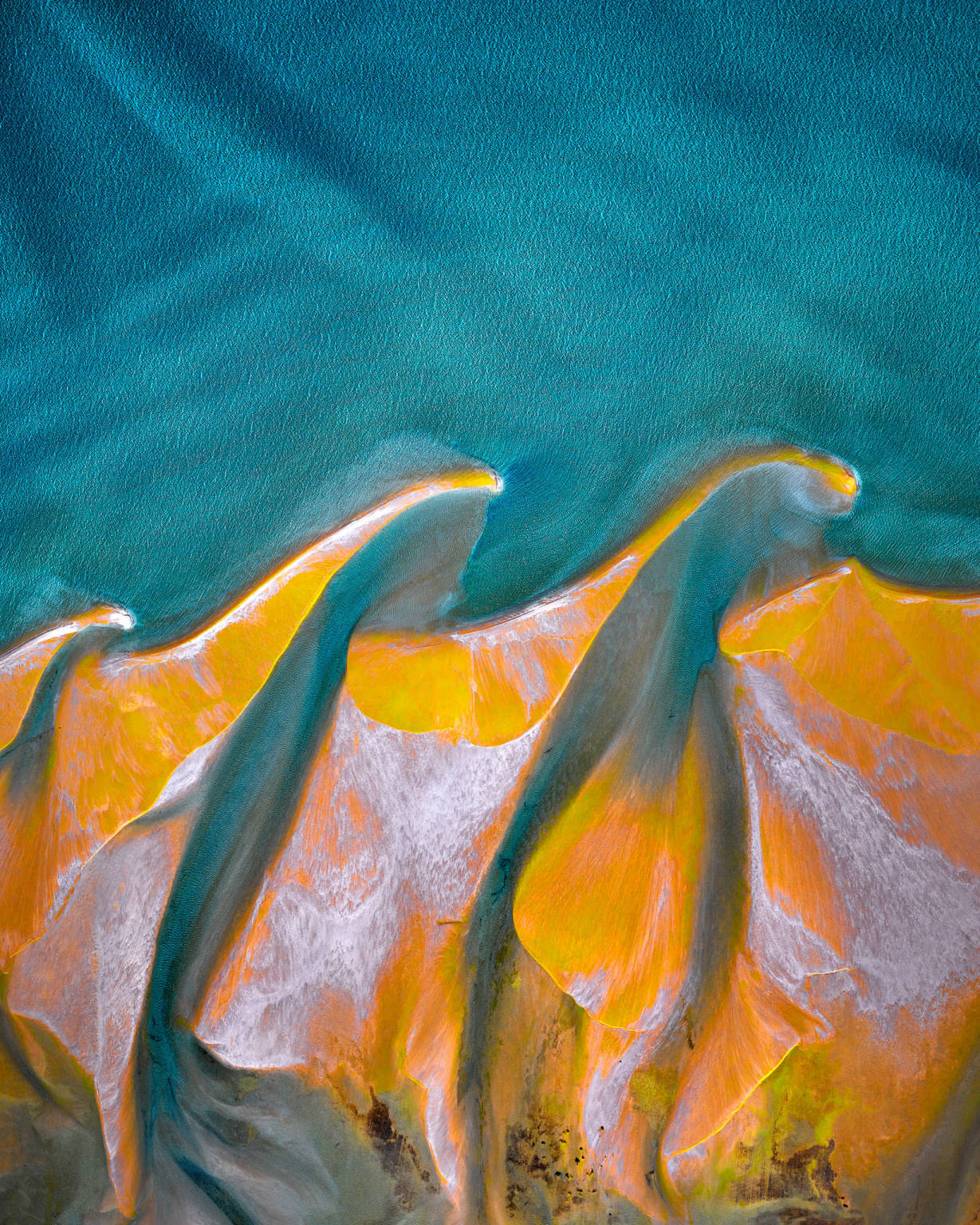 SharkBay-FaureIsland | On Landscape