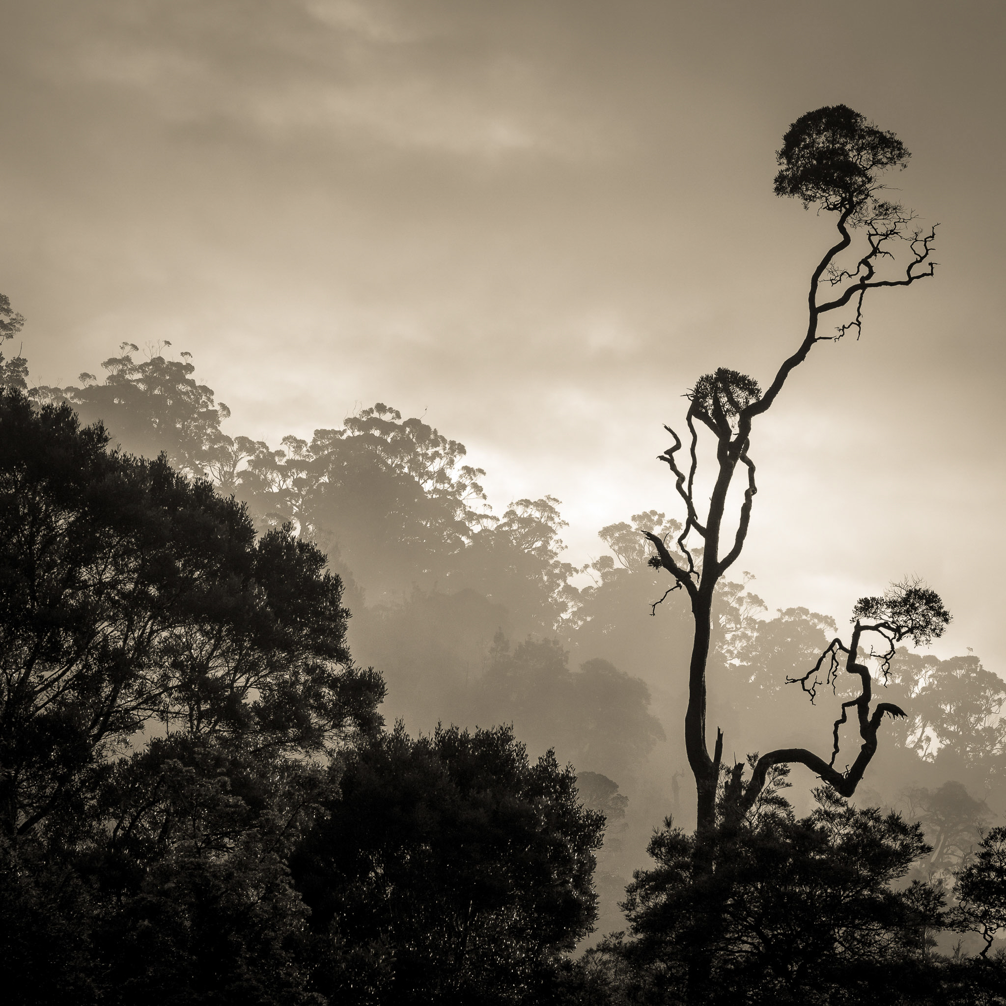 Donaldson River | On Landscape