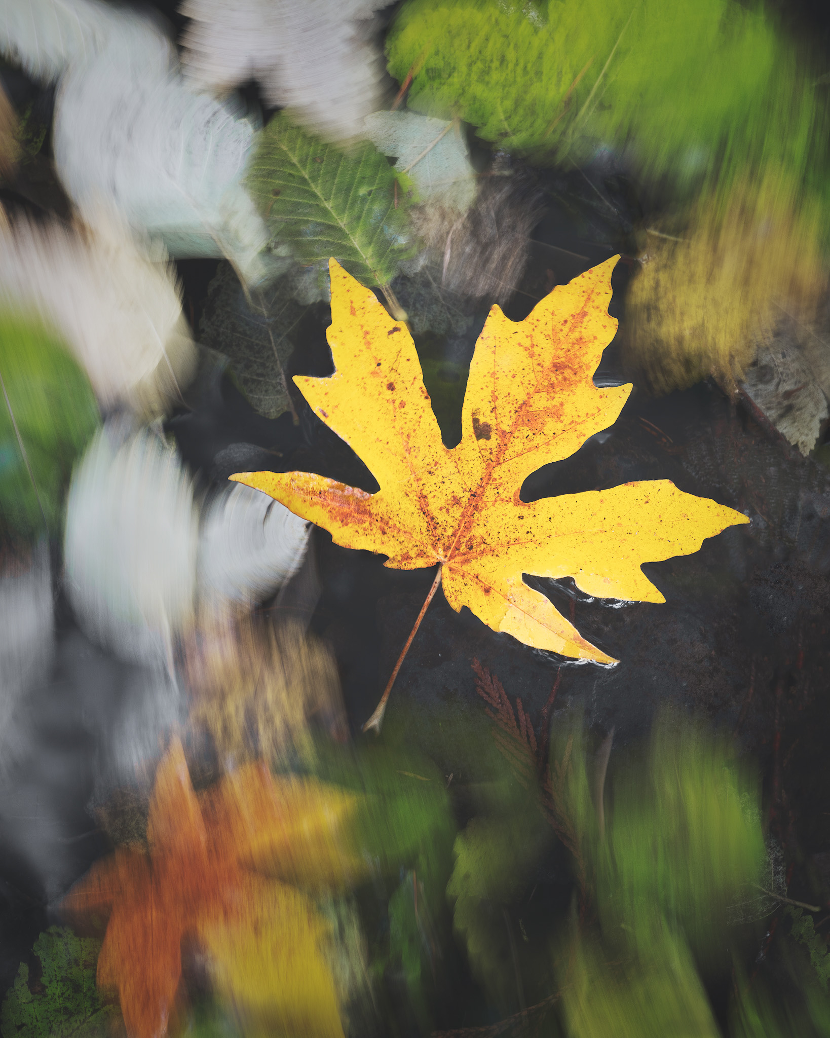 MattRedfern_Fallen_Free_OnLandscape | On Landscape