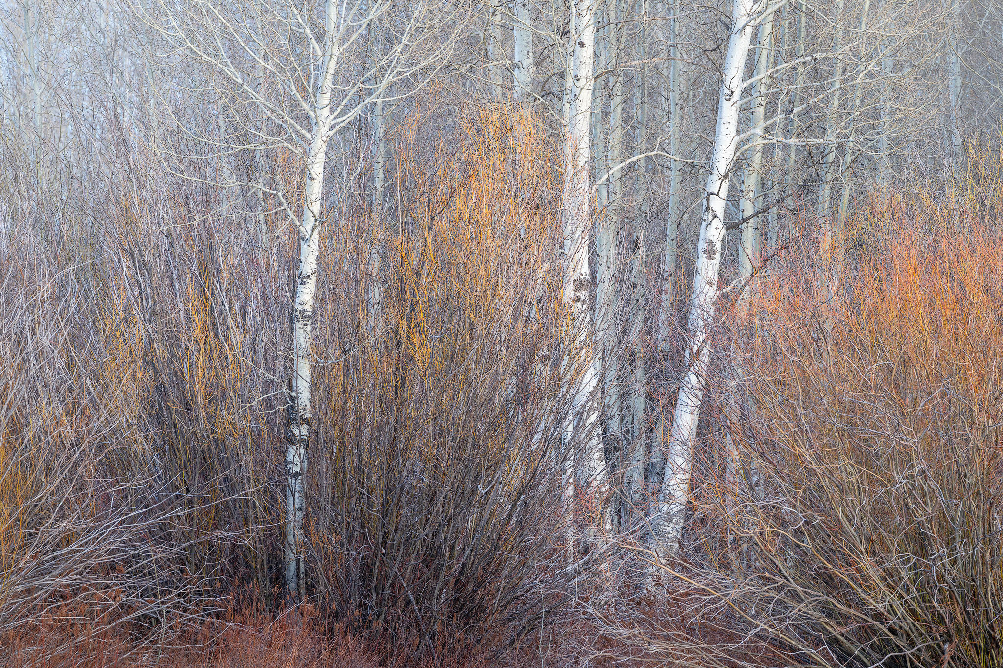 MattRedfern_Stick_Figures_OnLandscape | On Landscape