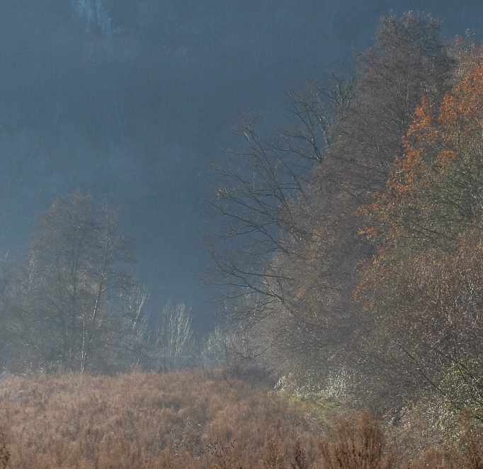 Photographing a Landscape over Time | On Landscape