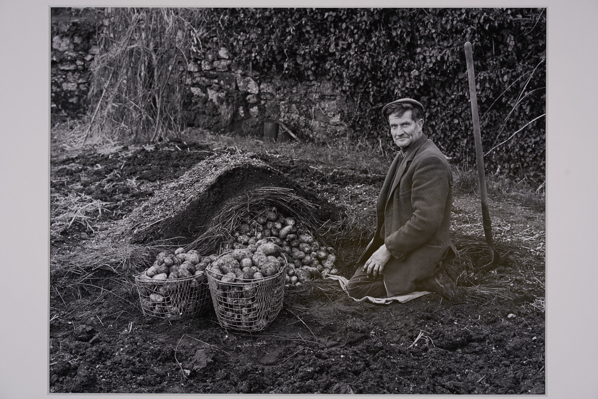 Chris Chapman, Joe White and his ‘teddie’ pit, Batworthy Farm, Chagford ...
