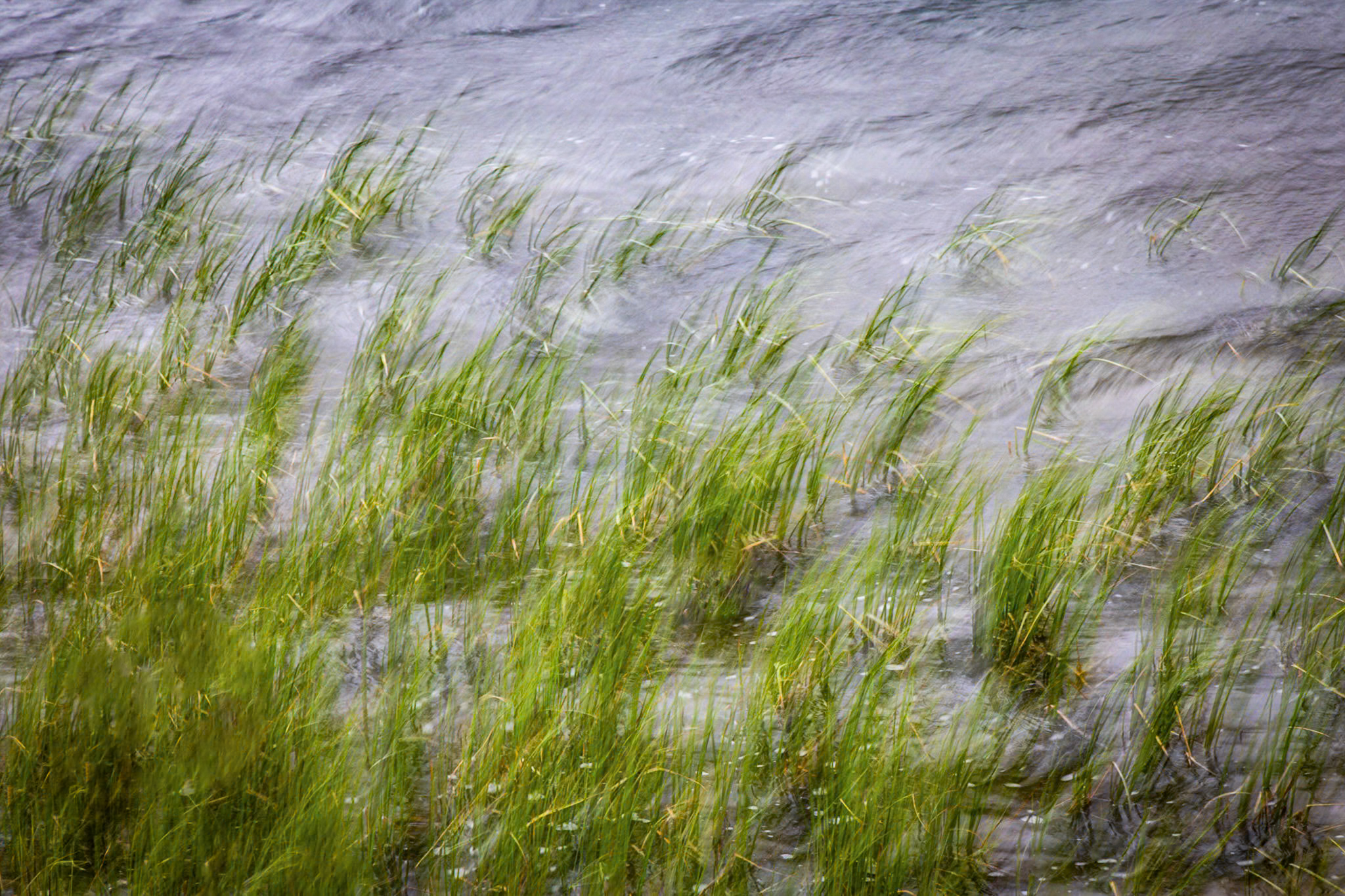 intimate-landscape-Rannveig-Bjork-Gylfadottir-Blowing-in-the-win | On ...