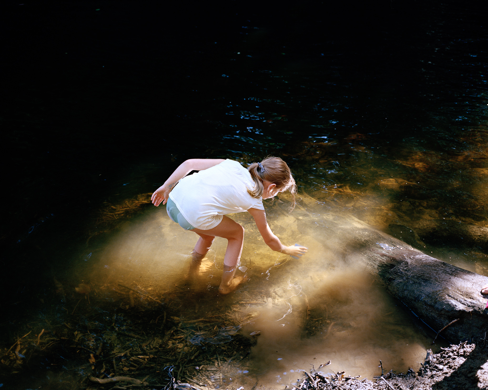Sian Davey, from the River Series, 2016 (Dartmoor, RAMM, Exeter, 2024 ...