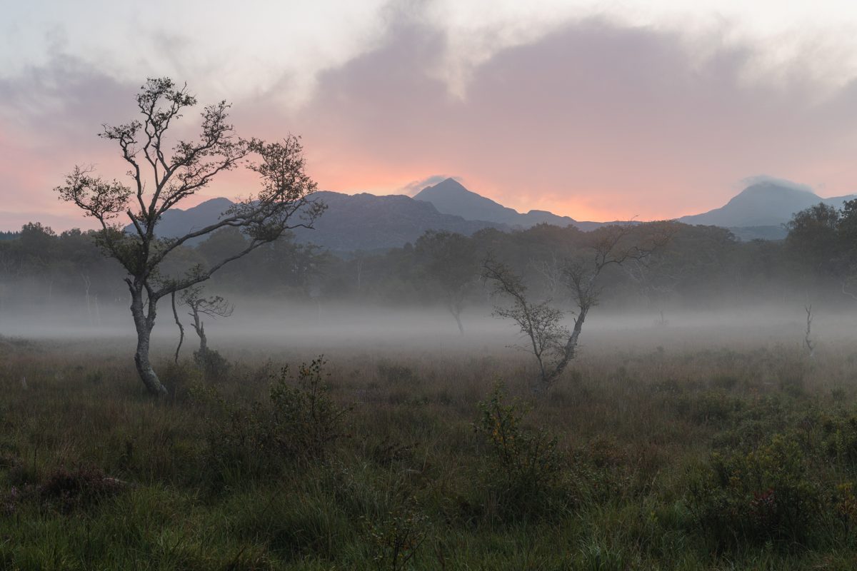 Learning to See Again | On Landscape