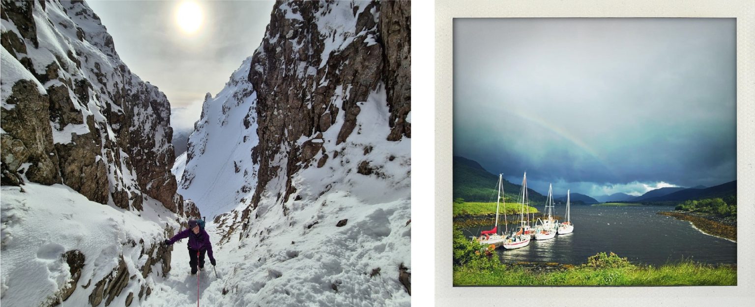 Issue Three Hundred and Seventeen | On Landscape