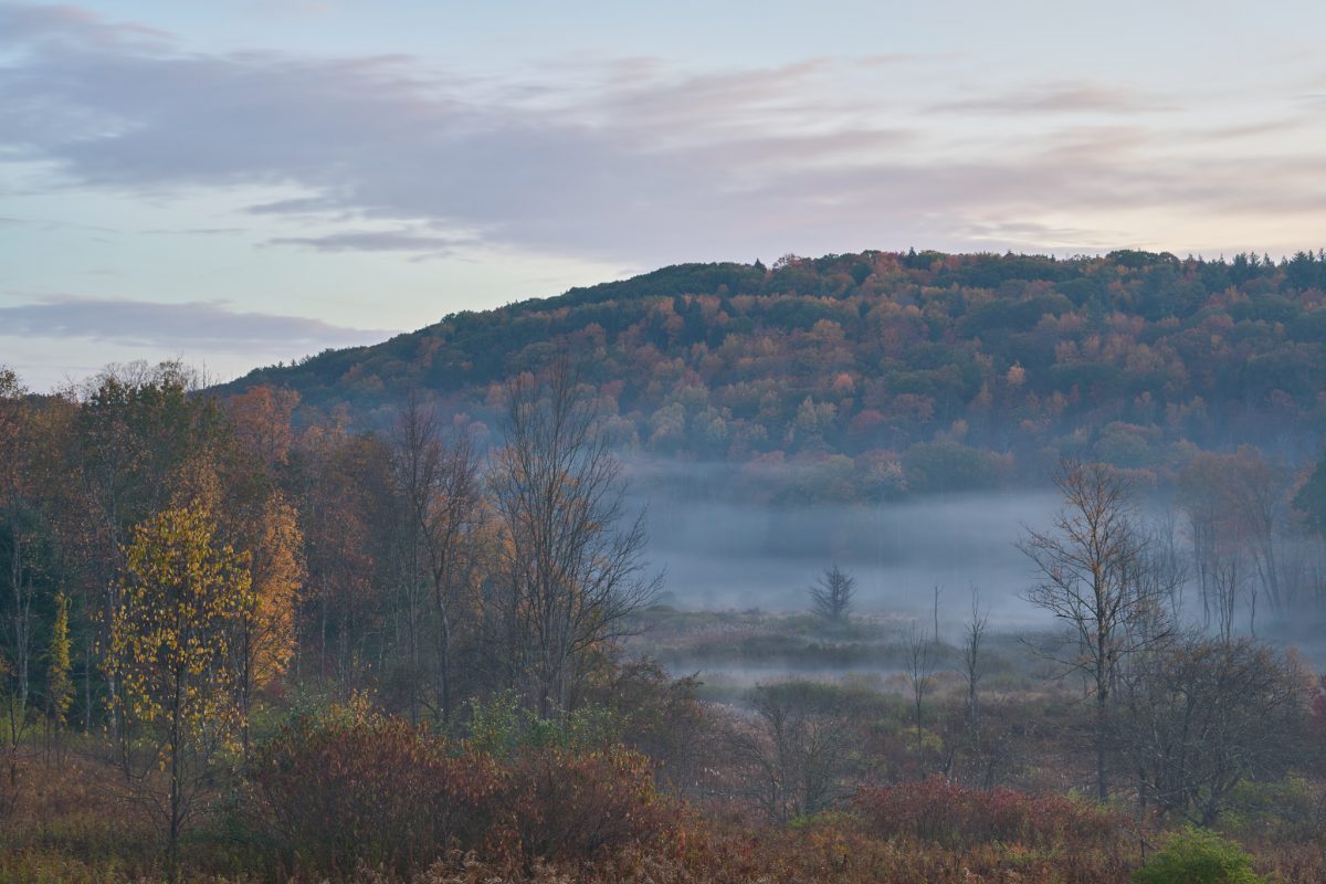 On Engagement with ‘Form’ | On Landscape