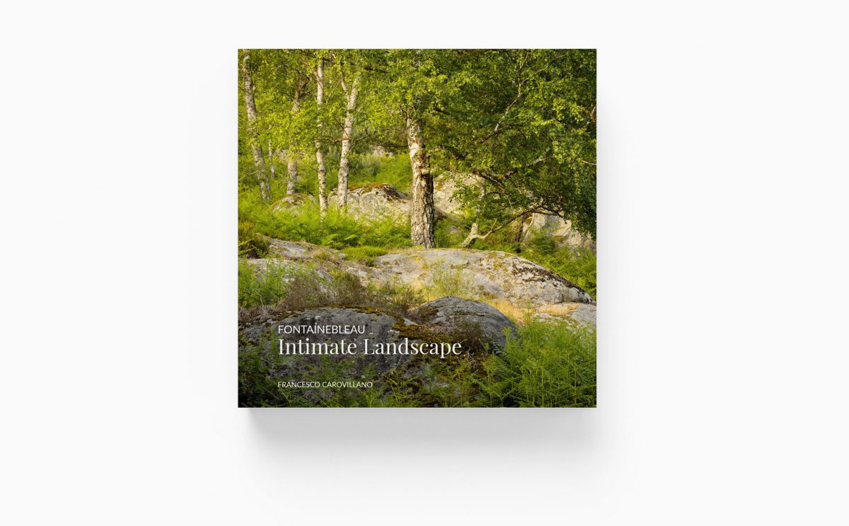 Fontainebleau - Intimate Landscape: A Book Review | On Landscape