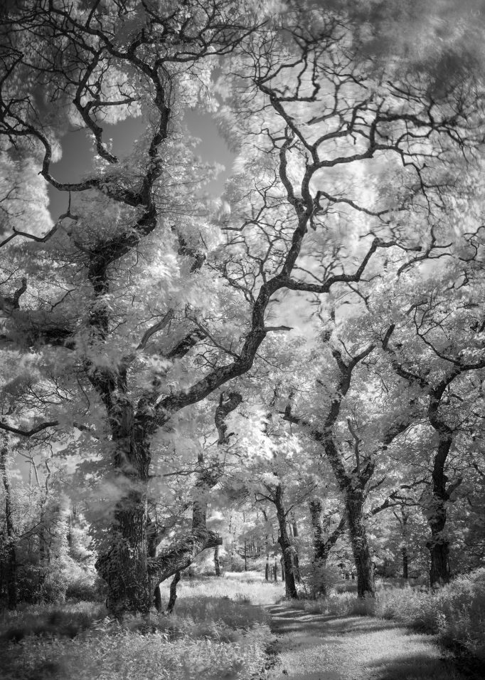 Brendan Devlin | Featured Photographer | On Landscape