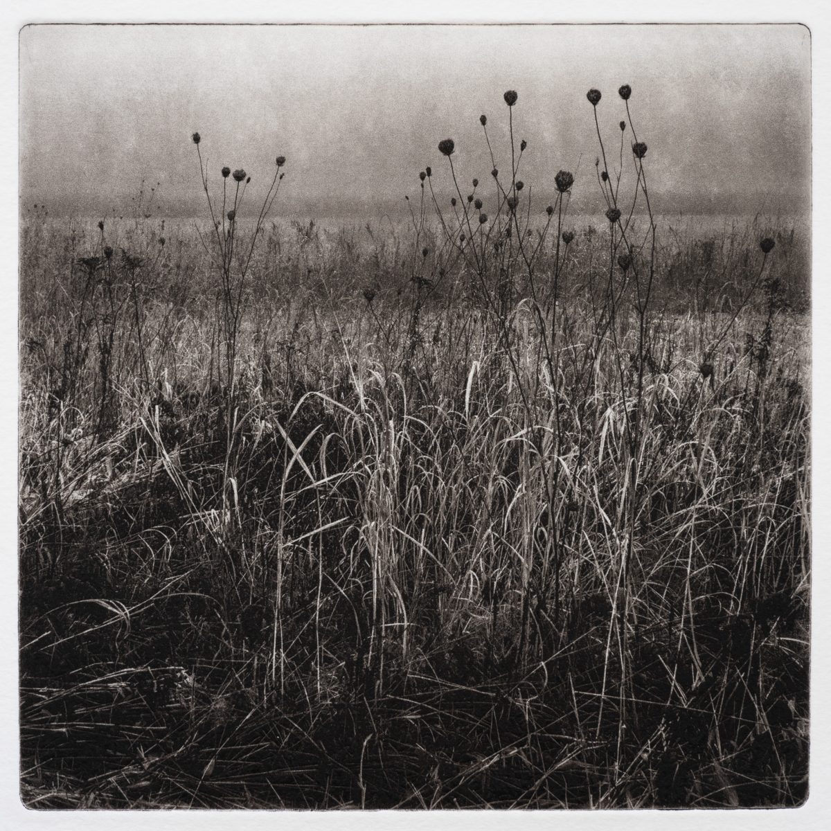 Landscape Photography Magazine | On Landscape