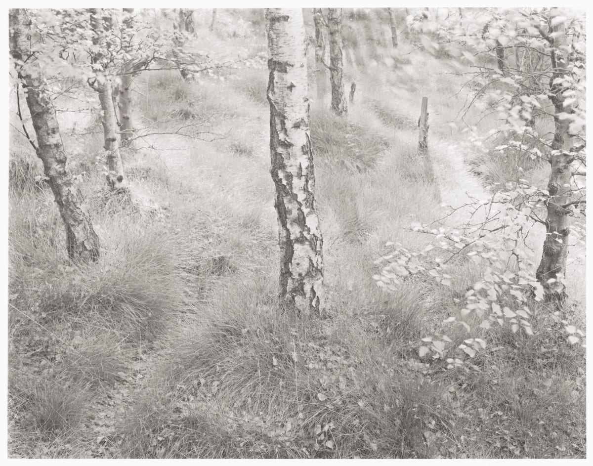 centreforbritishphotography-john-blakemore-from-lila-sequence-2-shirley ...