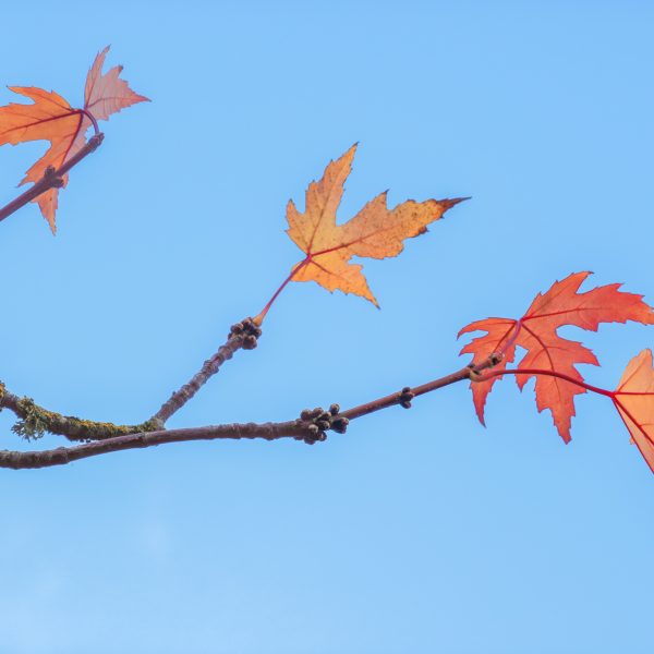 Landscape Photography Magazine | On Landscape