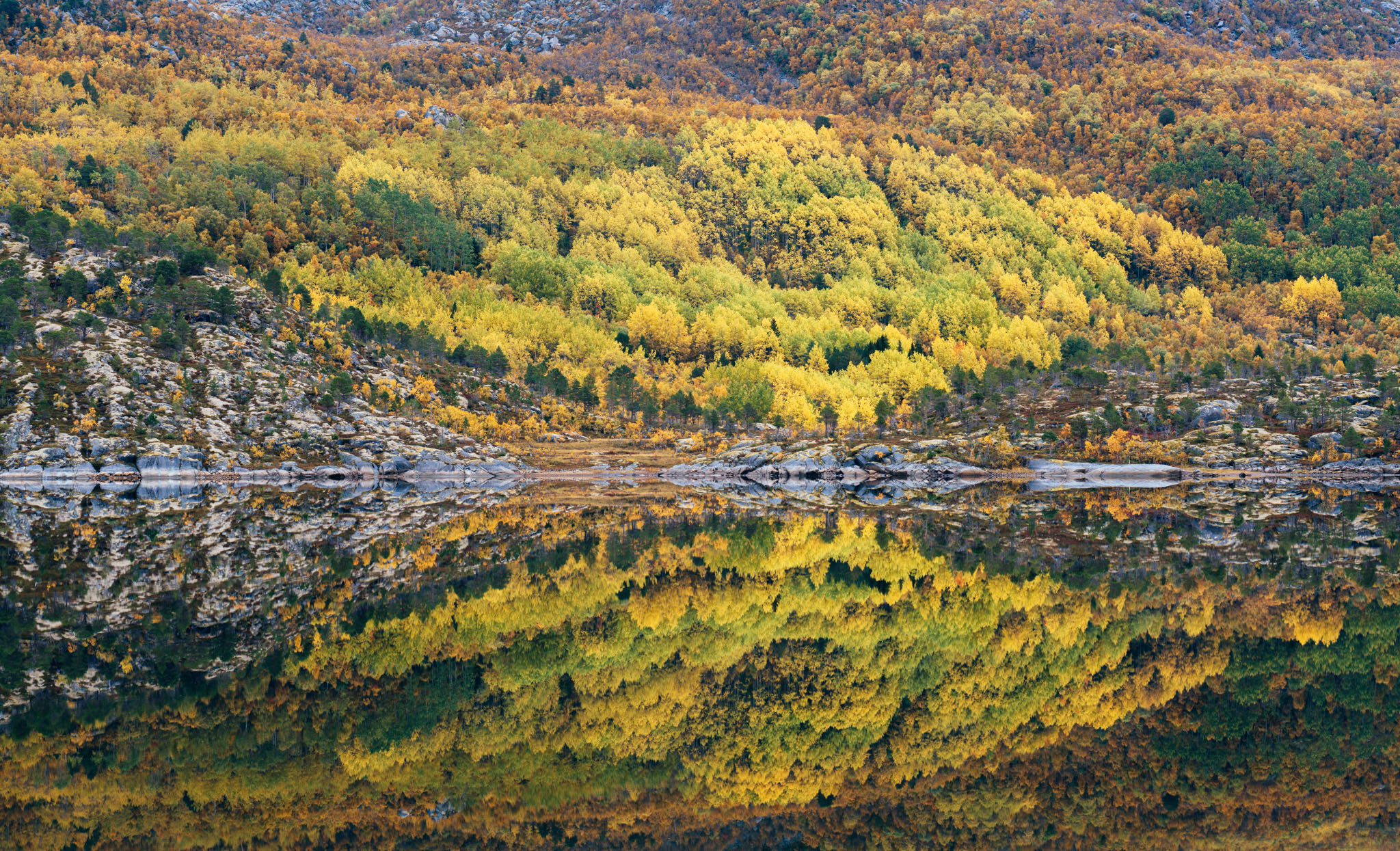 tim-aspen | On Landscape